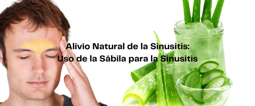 Cómo Usar la Sábila para la Sinusitis: Remedios Naturales para la Salud Nasal