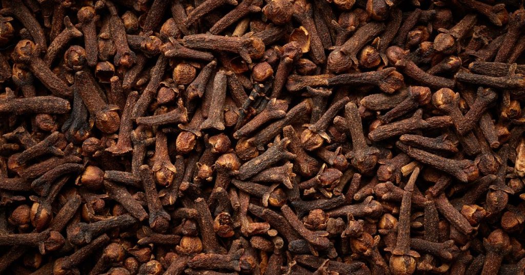 Masticar clavo de olor al día - 5 beneficios científicamente comprobados