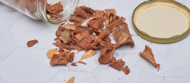 Beneficios del Cuachalalate: Propiedades, Uso y Preparación de la Infusión